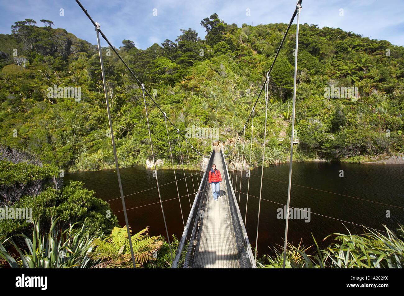 Bridge over Kohaihai River Heaphy Track near Karamea Kahurangi National ...