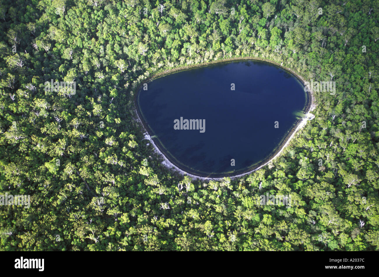 Aerial blue lake green forest hi-res stock photography and images - Alamy