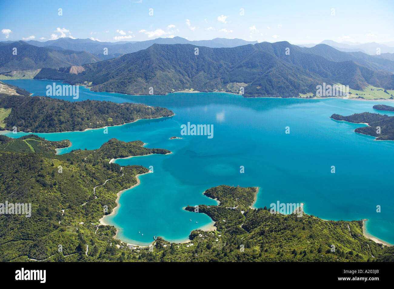 Te Mahia Bay Kenepuru Sound Marlborough Sounds South Island New Zealand ...