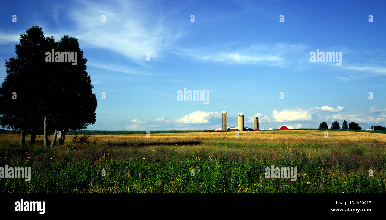 Michigan state fair hi-res stock photography and images - Alamy