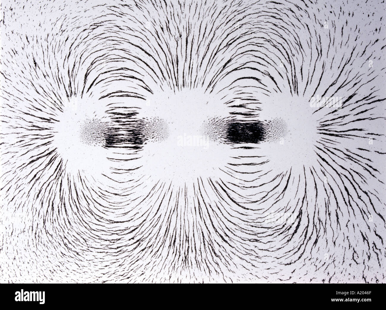 Magnetic Field Iron Filings Two Magnets