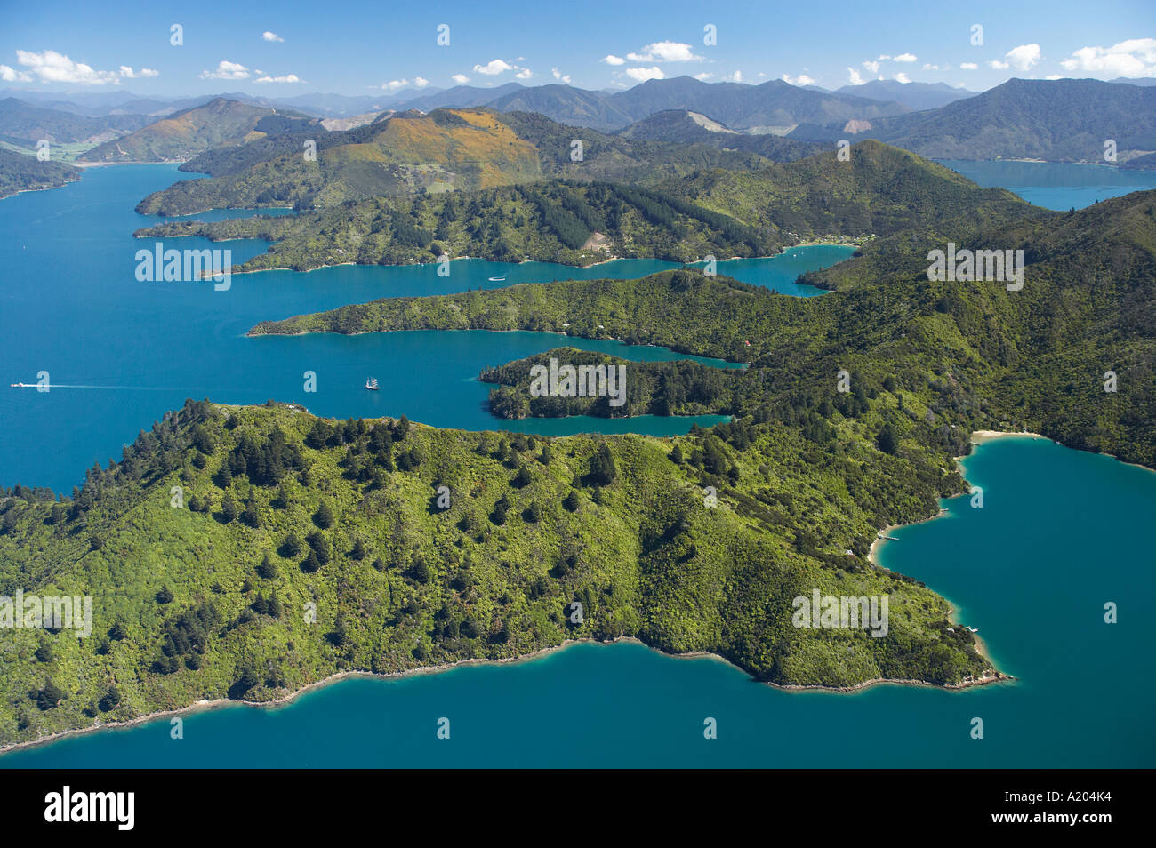 Torea Bay R and Queen Charlotte Sound Marlborough Sounds South Island ...