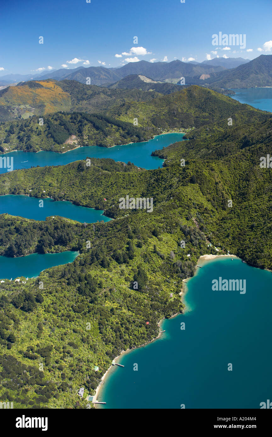 Nz Natives High Resolution Stock Photography and Images - Alamy