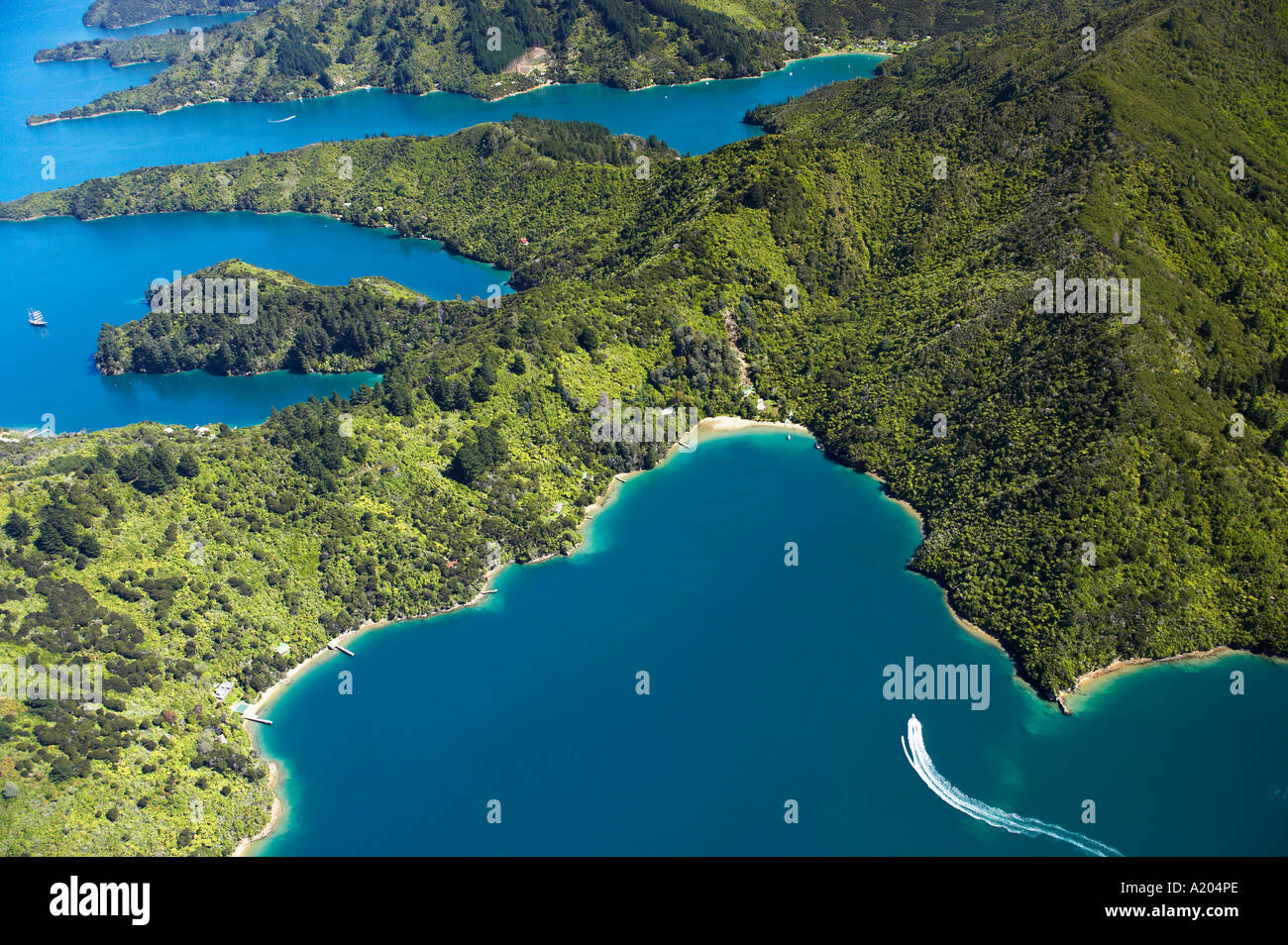 Torea Bay R Double Cove and Lochmara Bay top Marlborough Sounds South ...