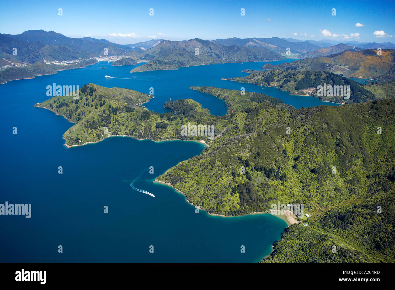 Queen charlotte sound cruise hi-res stock photography and images - Alamy
