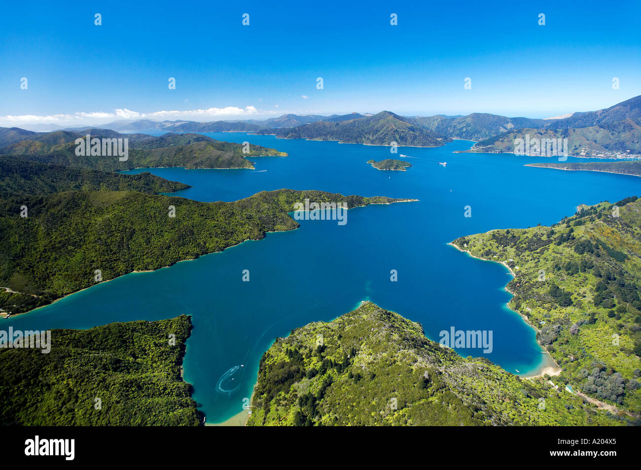 Torea Bay Queen Charlotte Sound Marlborough Sounds South Island New ...