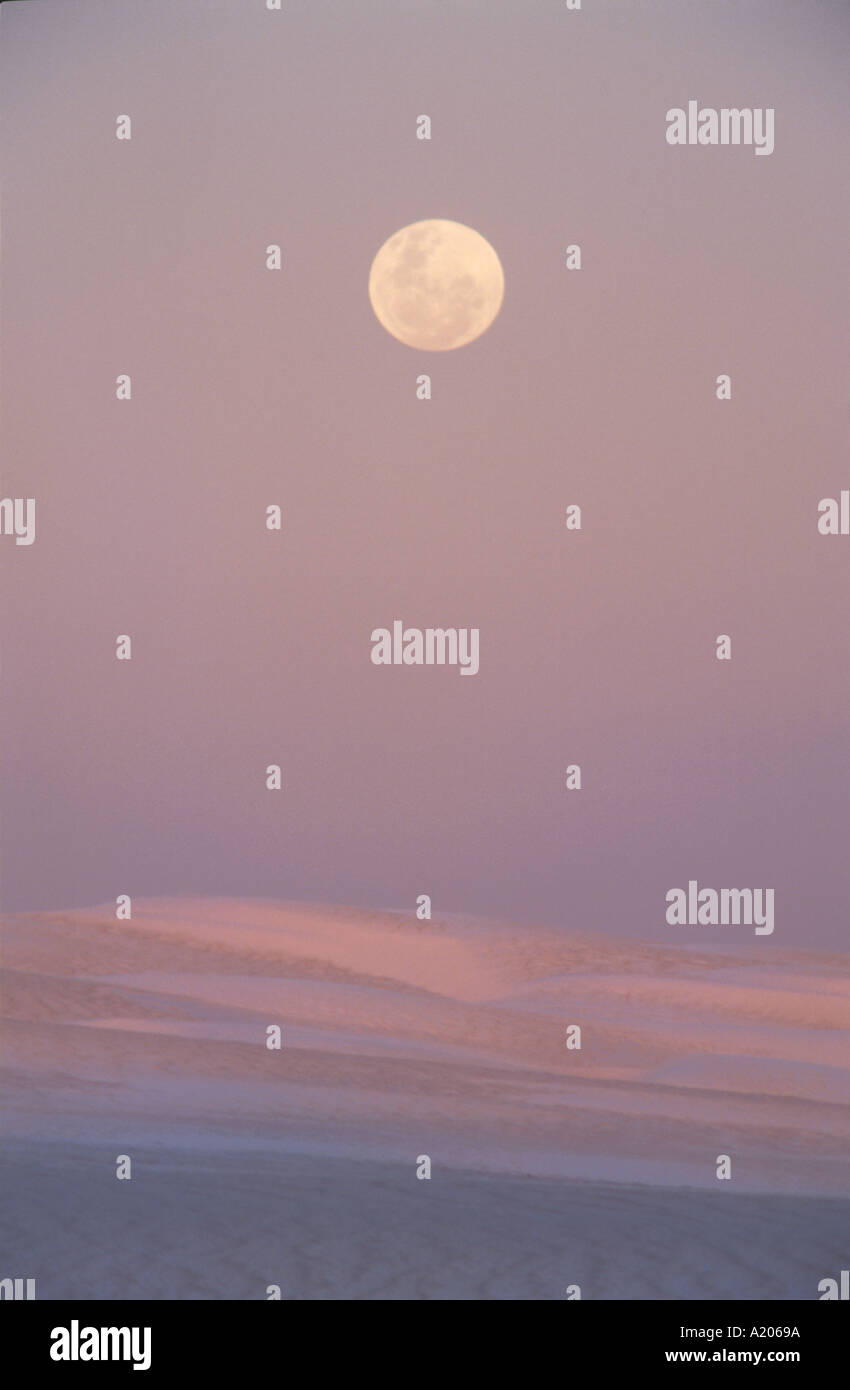 Dunal hi-res stock photography and images - Alamy