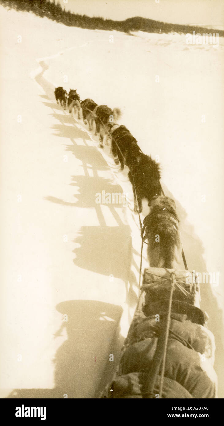 Indian or single file hitch used with toboggans in the interior of ...