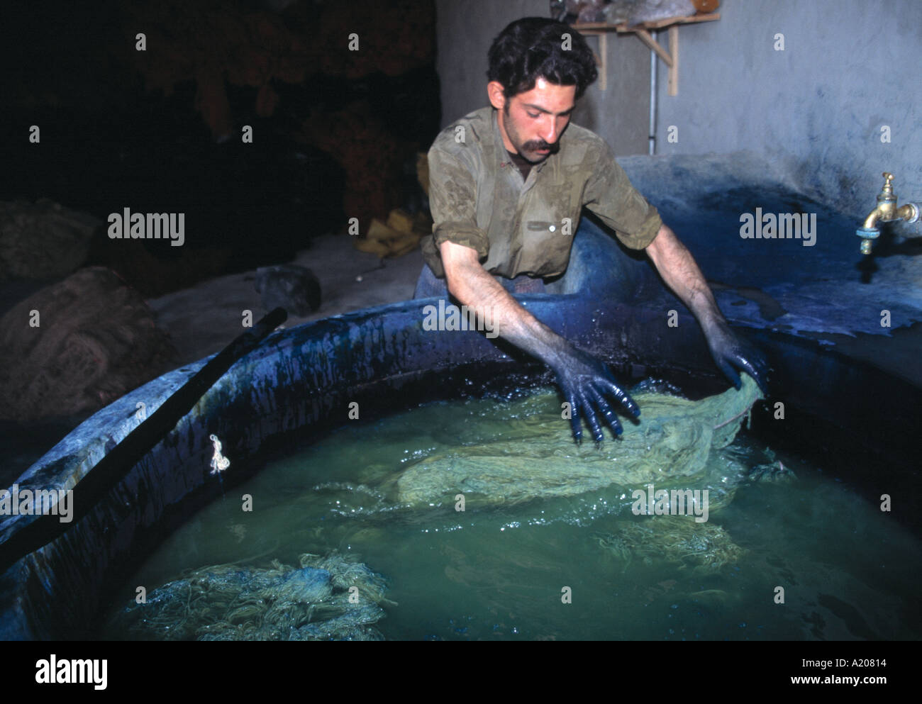 Indigo Dying Natural Process Plant Esfahan Stock Photo - Alamy