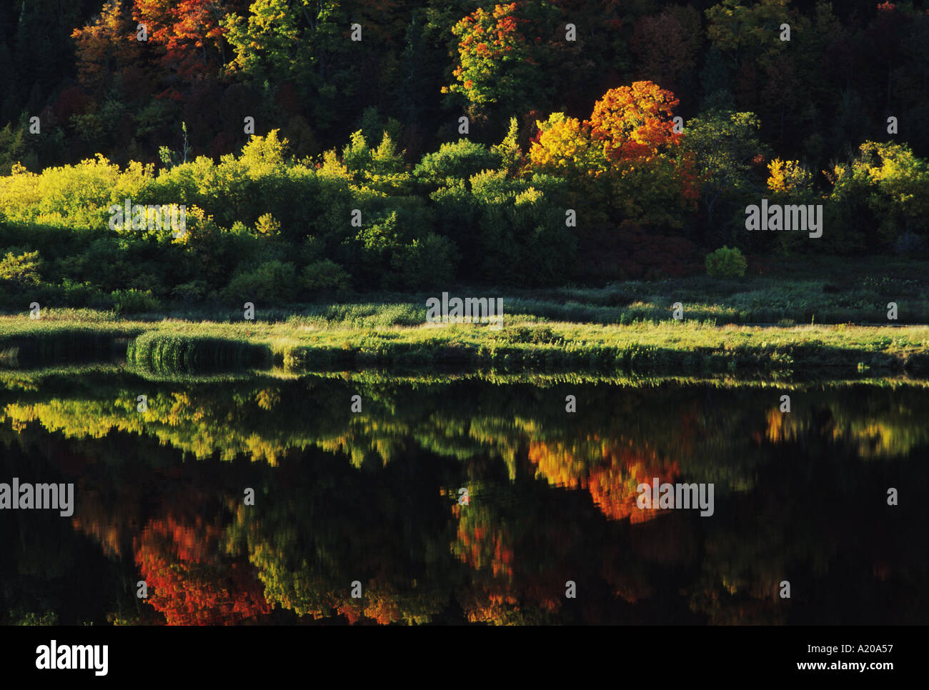 Fall along the St John River valley New Brunswick Canada Stock Photo ...