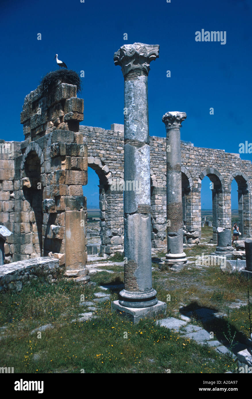 Roman Volubilis To the Arabs Oulili Walila or walili Morocco European ...
