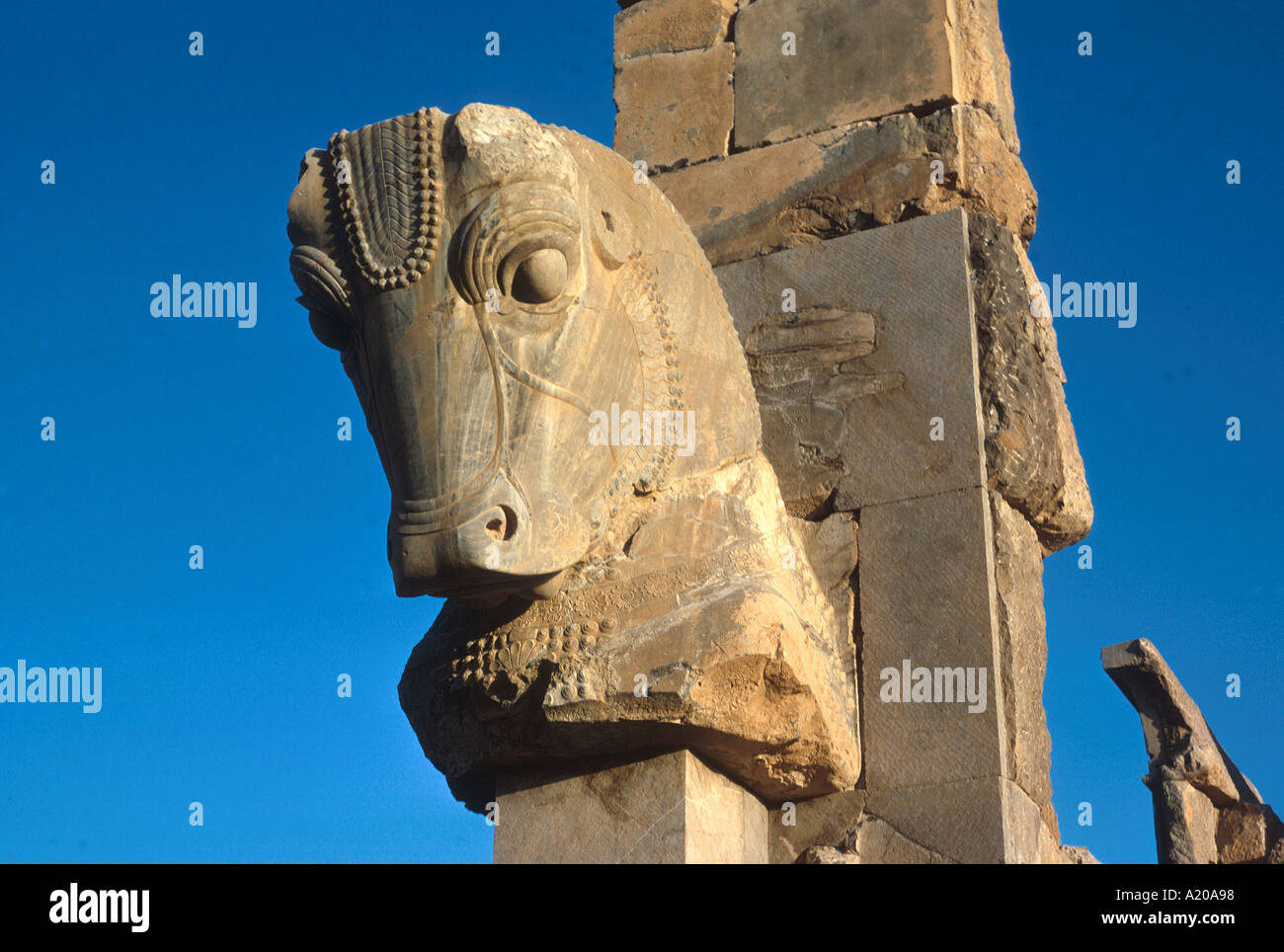 Statue of a bull's head; Persepolis; in the Islamic Republic of Iran ...