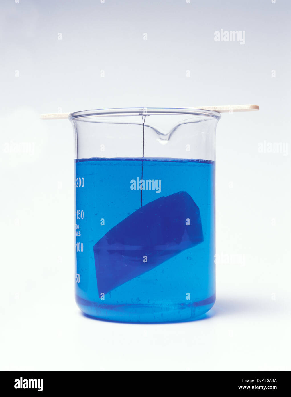 Copper Sulfate Crystals Experiment