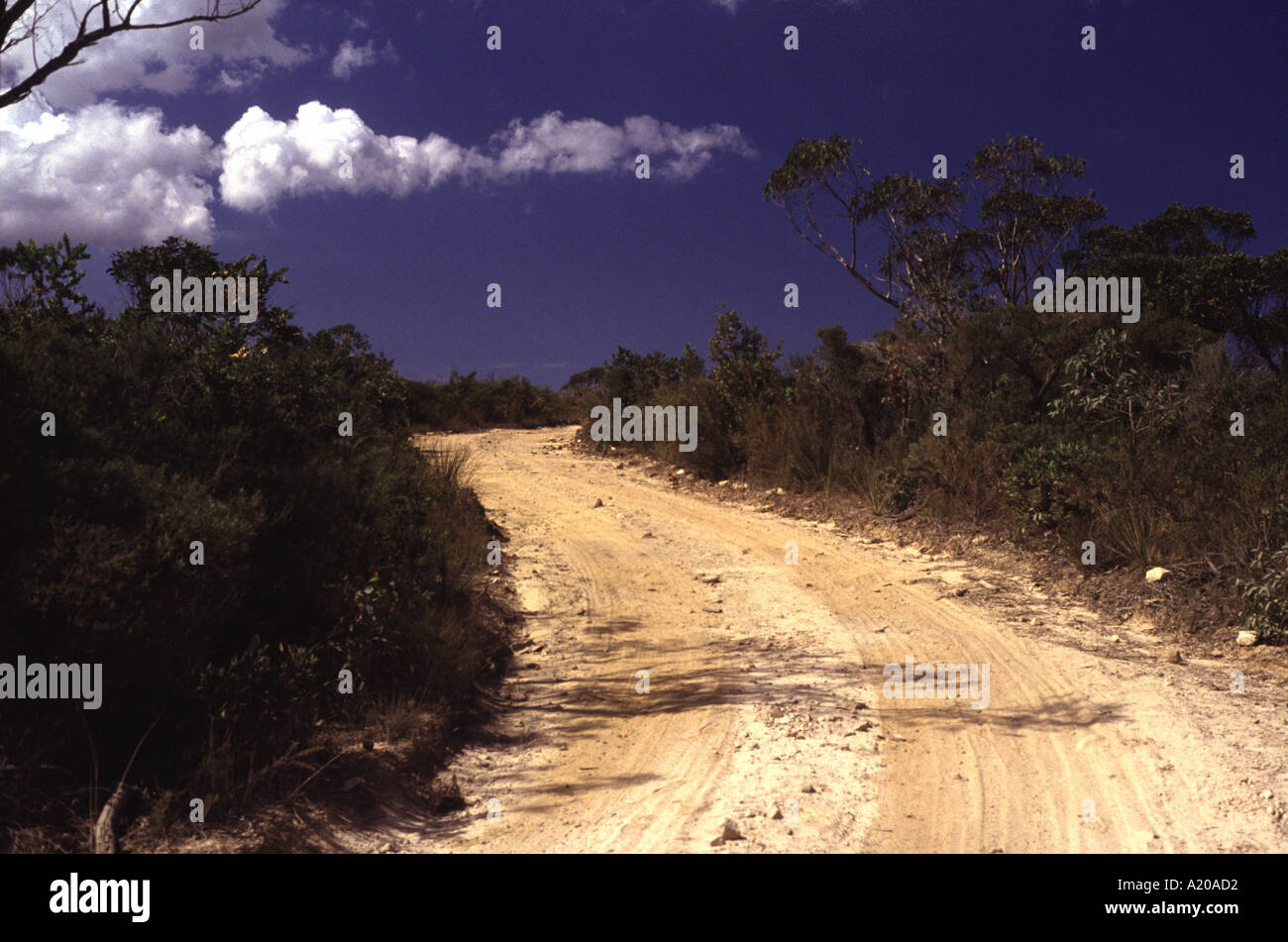 Trail within Australian Bush Stock Photo - Alamy