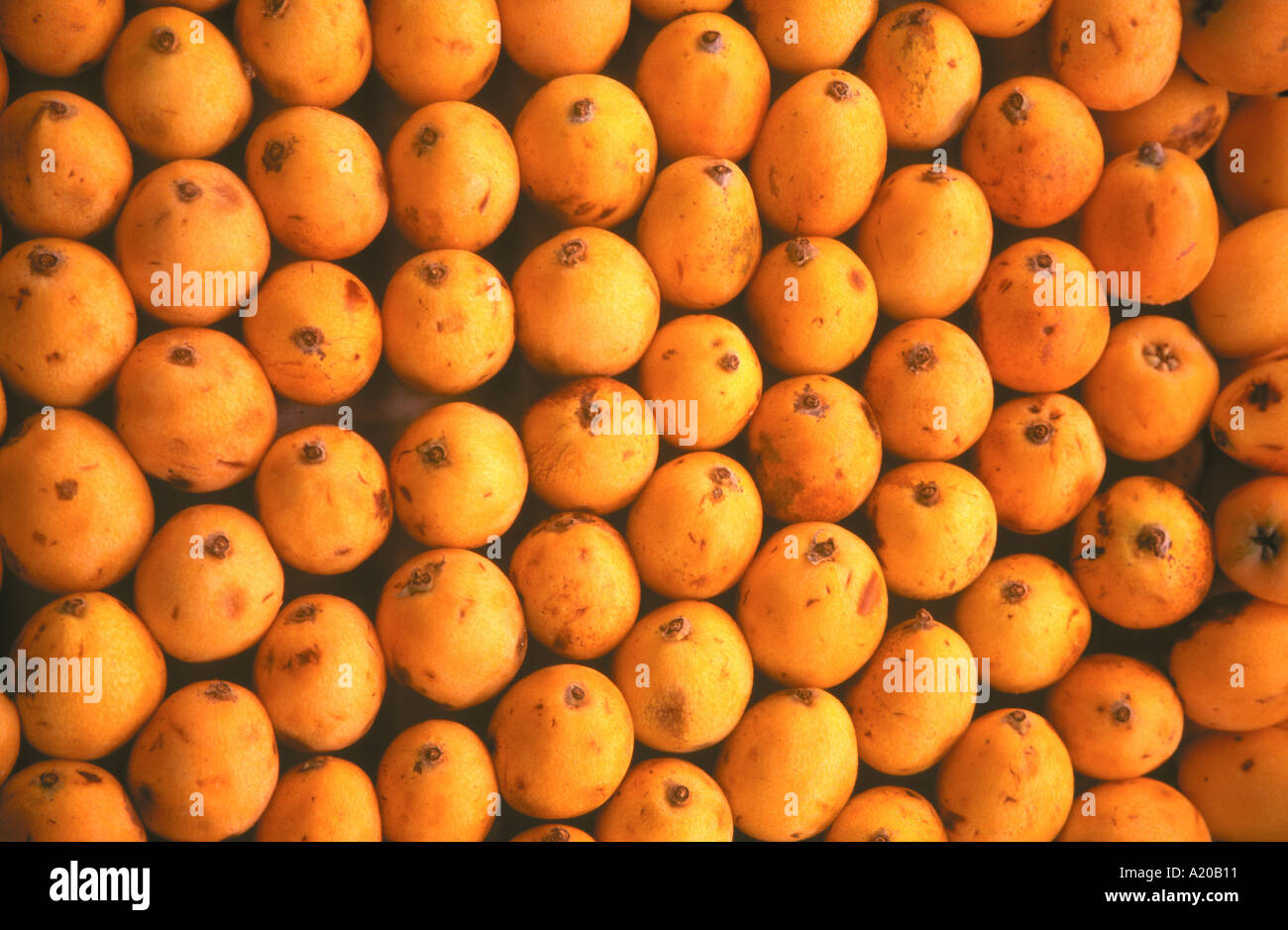 Loquat spanish hi-res stock photography and images - Alamy