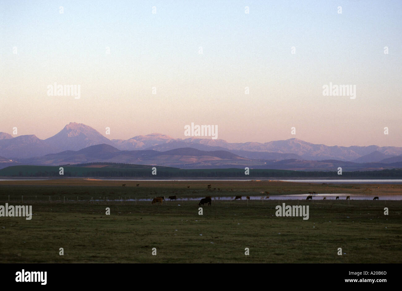 Landscape in western Andalusia near Villamartin Stock Photo - Alamy