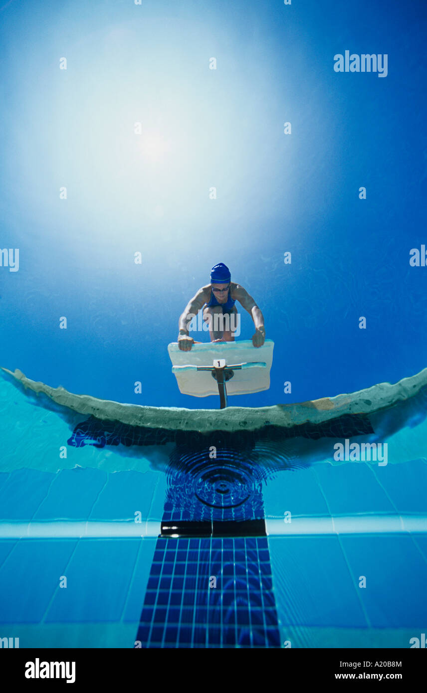 Female diver board hi-res stock photography and images - Alamy
