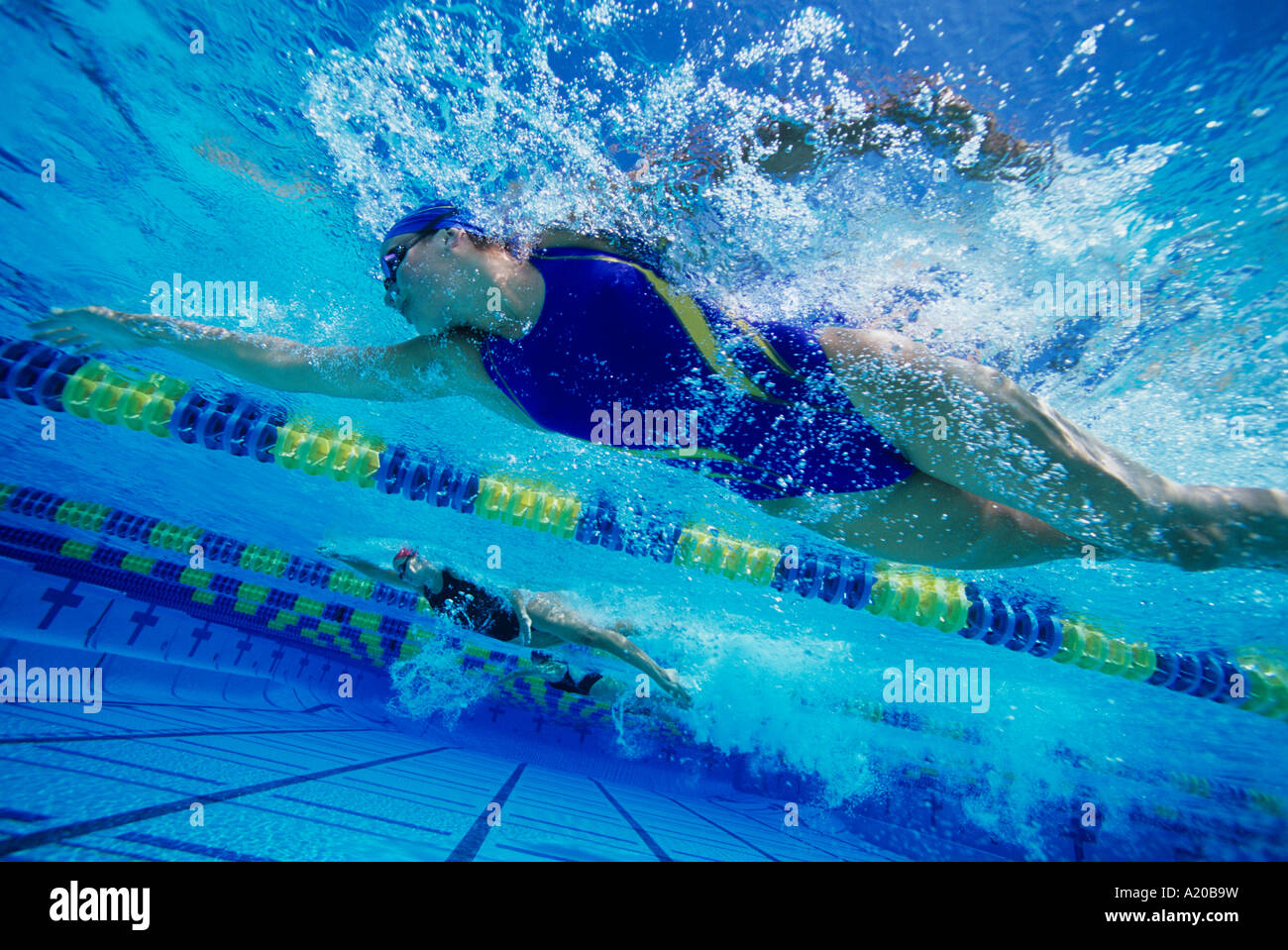 Underwater view female swimmers racing Stock Photo - Alamy