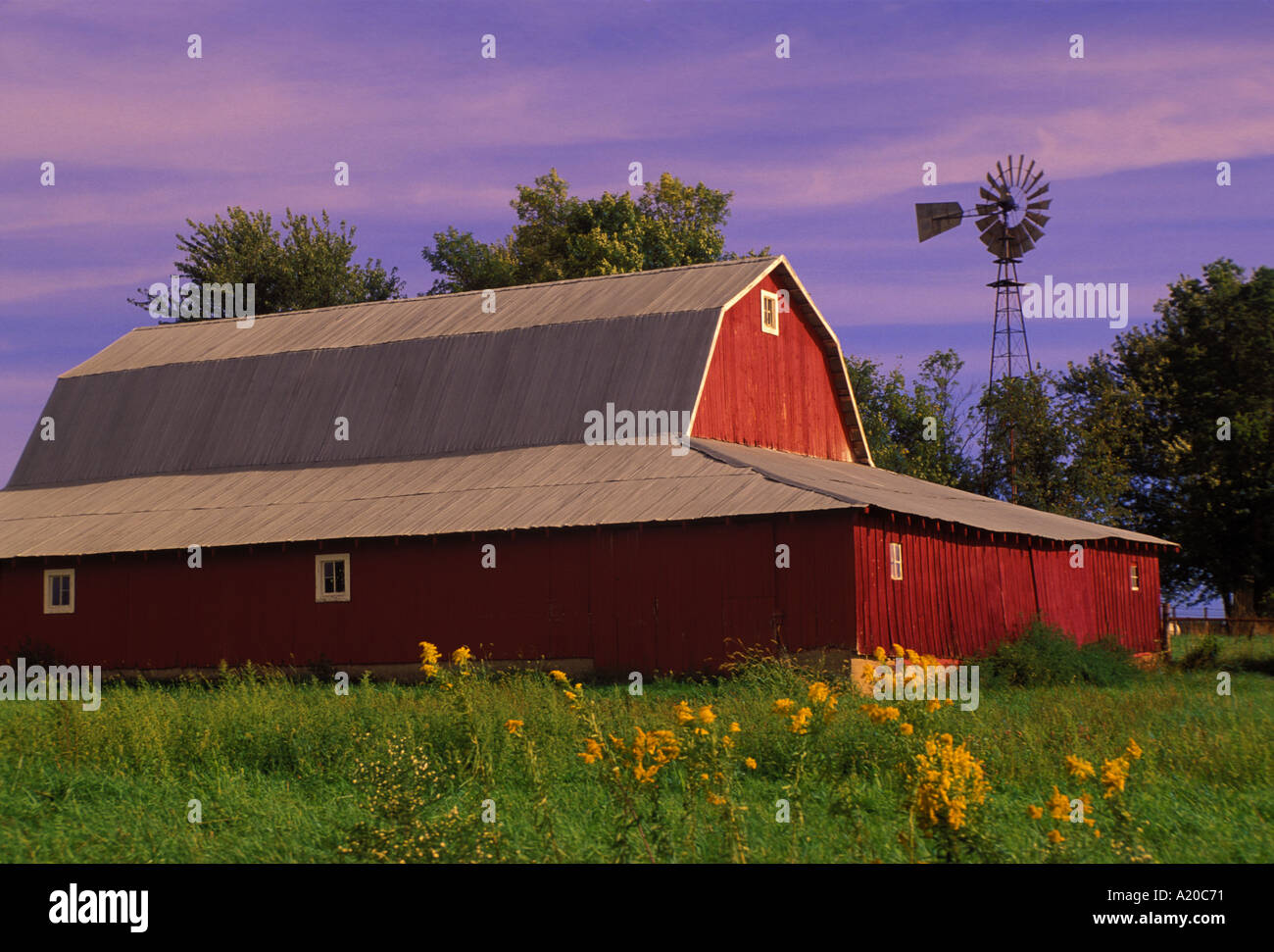 Paddock building at sunset hi-res stock photography and images - Alamy