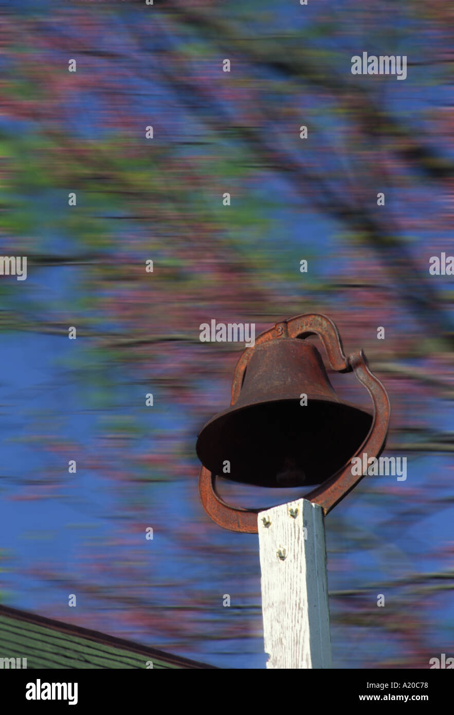 Ringing action: Large old-time dinner bell on roof of barn by blooming ...
