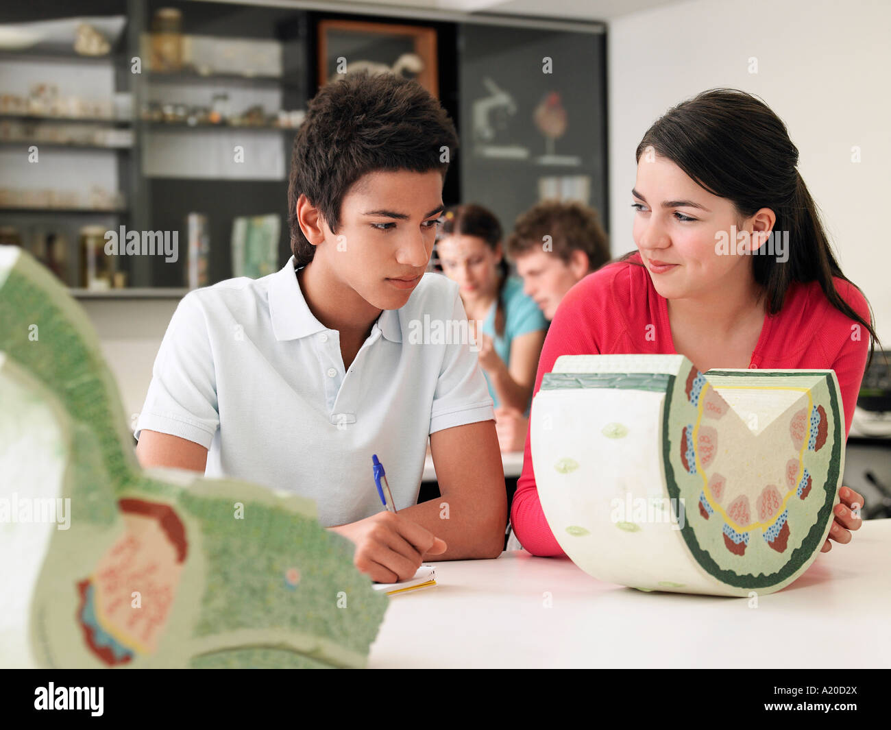 Teenagers sitting in science class Stock Photo - Alamy