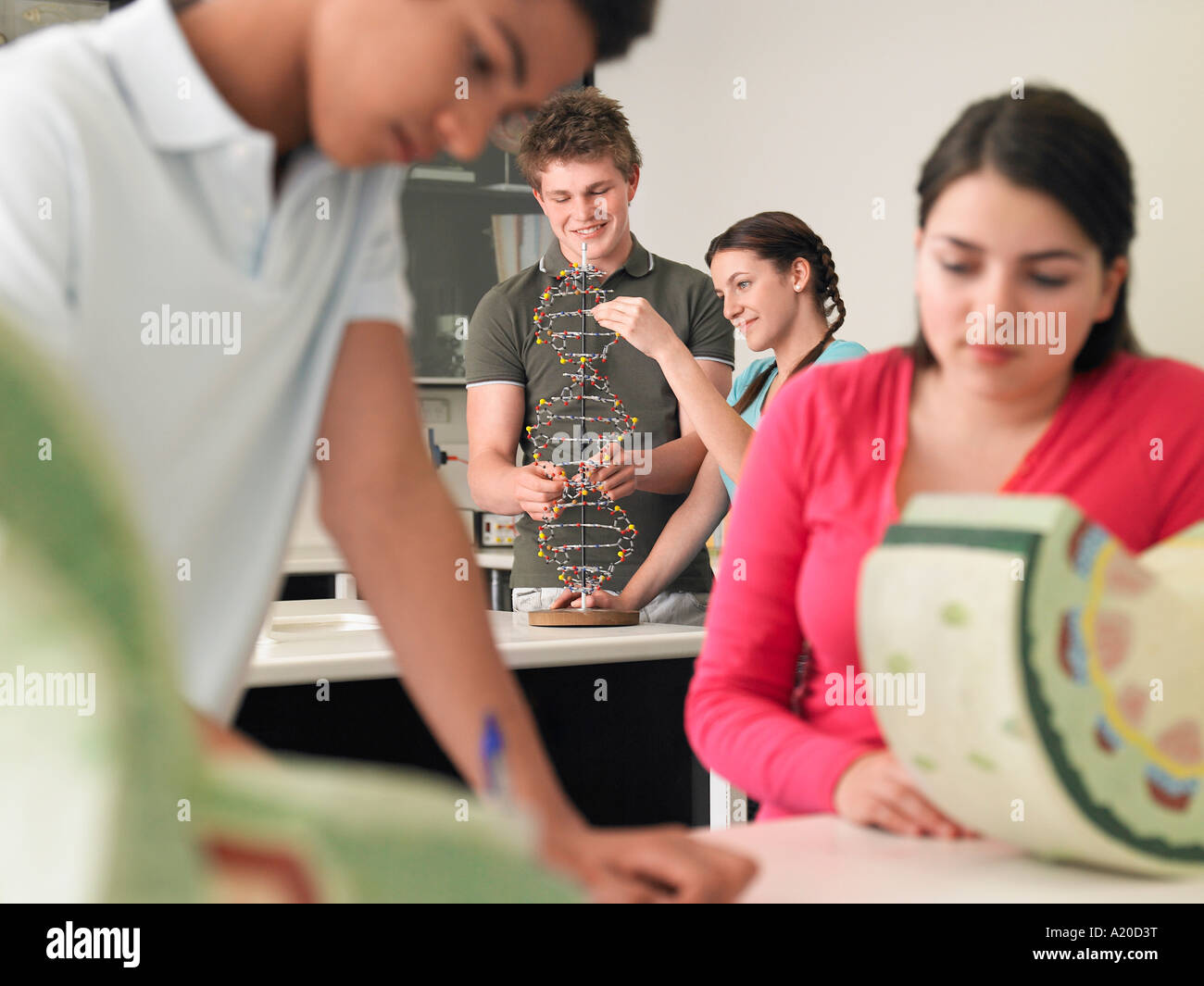 Teenagers working in science class Stock Photo - Alamy