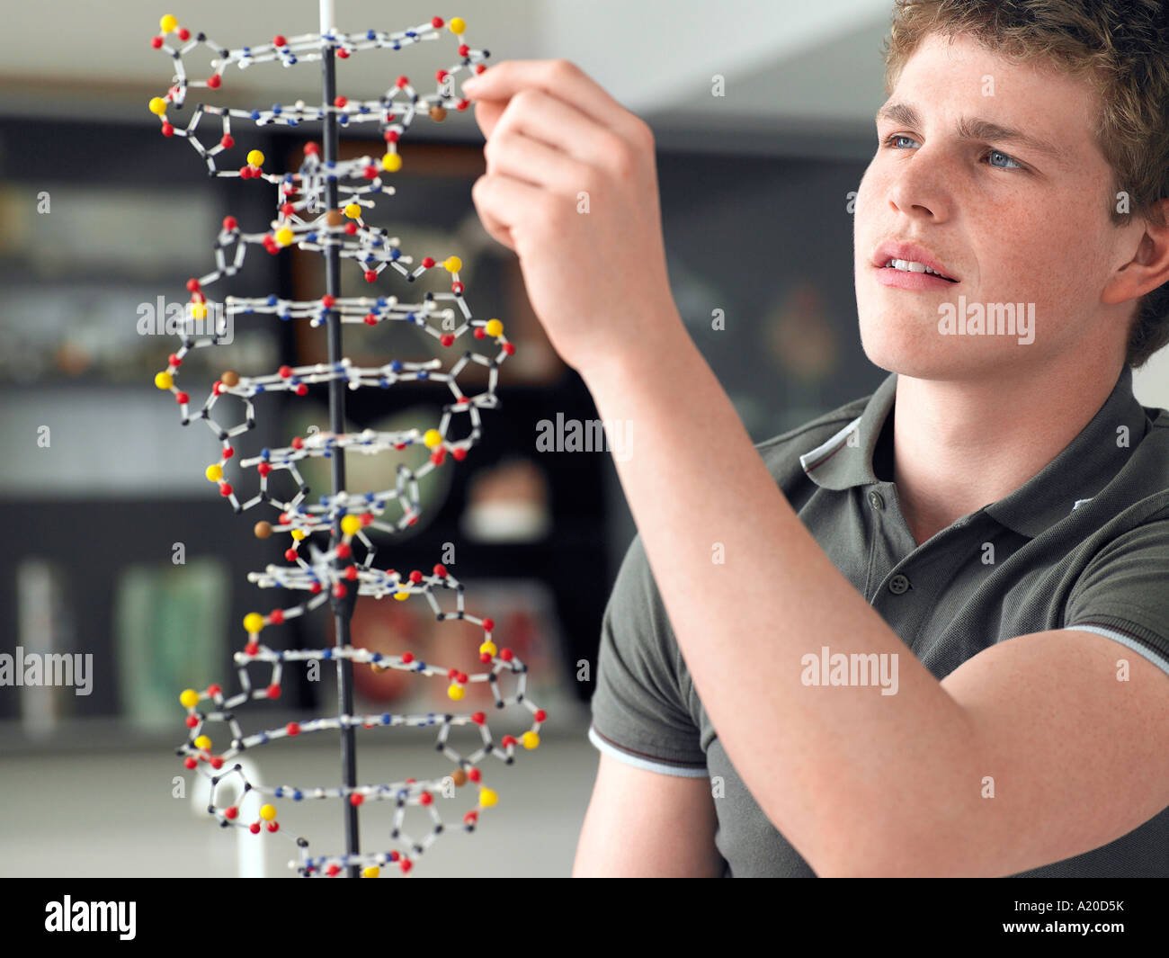 Dna School Project