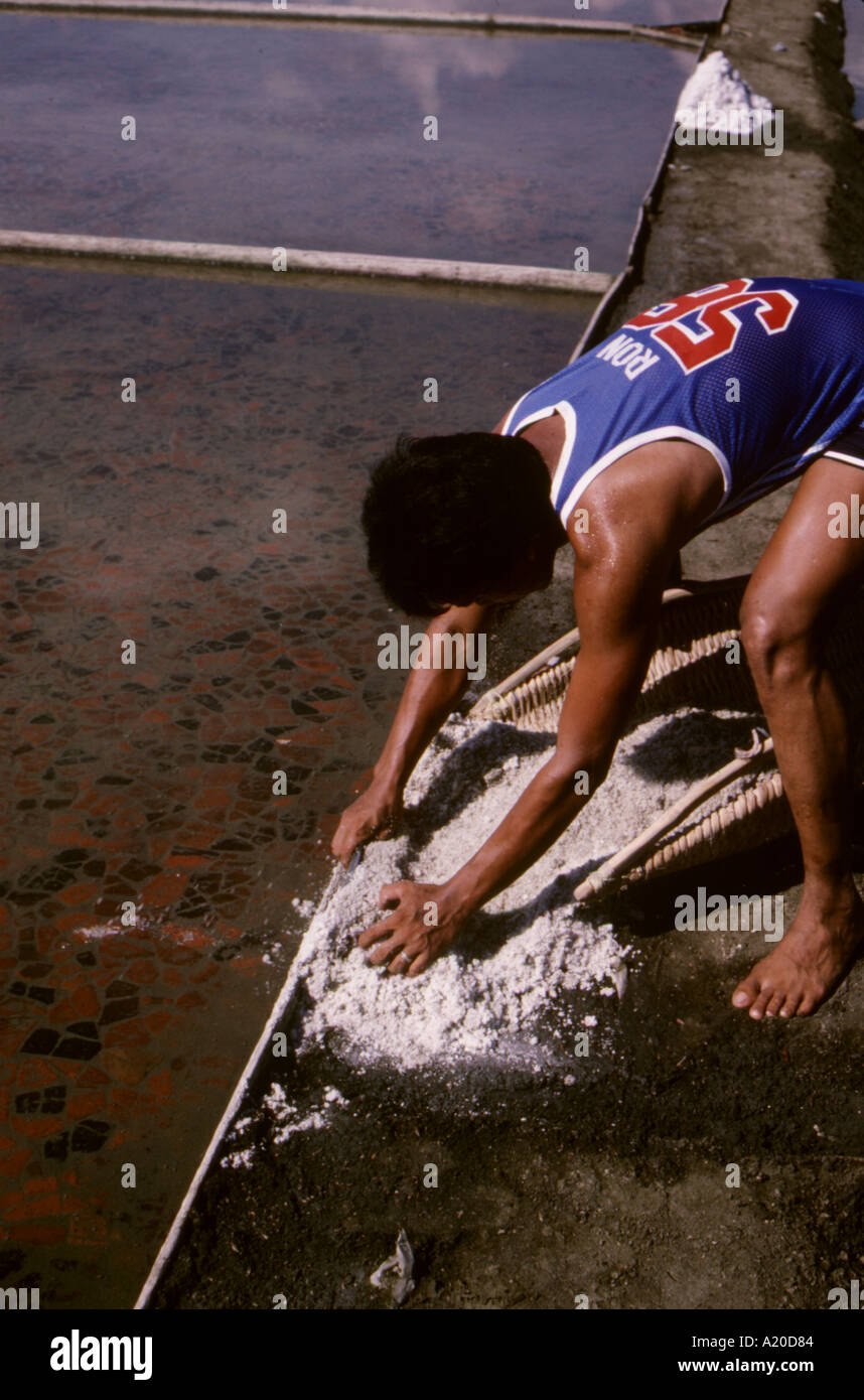 Collecting sea salt in the Philippines Stock Photo - Alamy