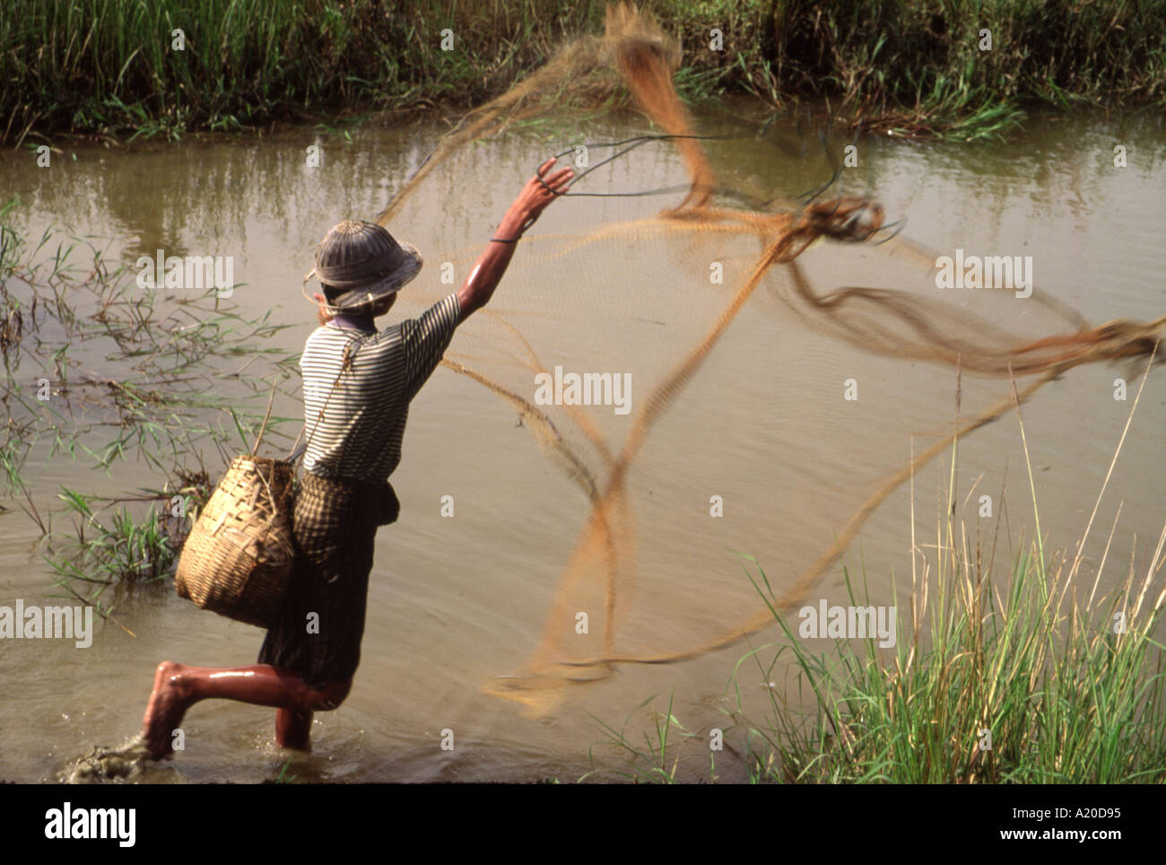 A fisherman casting his net in a rural canal Burma Stock Photo - Alamy