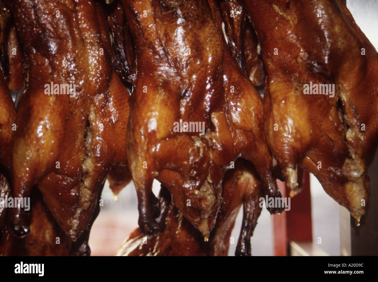 Roast crispy duck in a restaurant window in Taipei, Taiwan Stock Photo ...