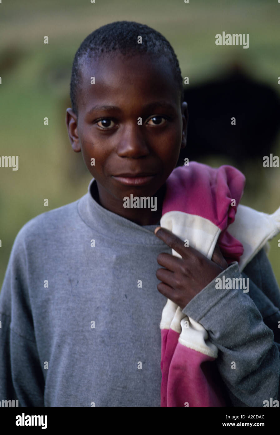 Shepherd boy in lesotho africa hi-res stock photography and images - Alamy