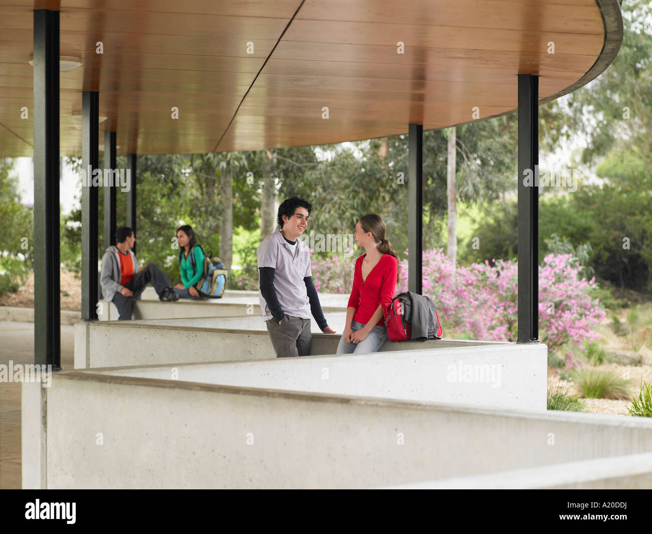 Students talking in outdoor pavilion Stock Photo - Alamy