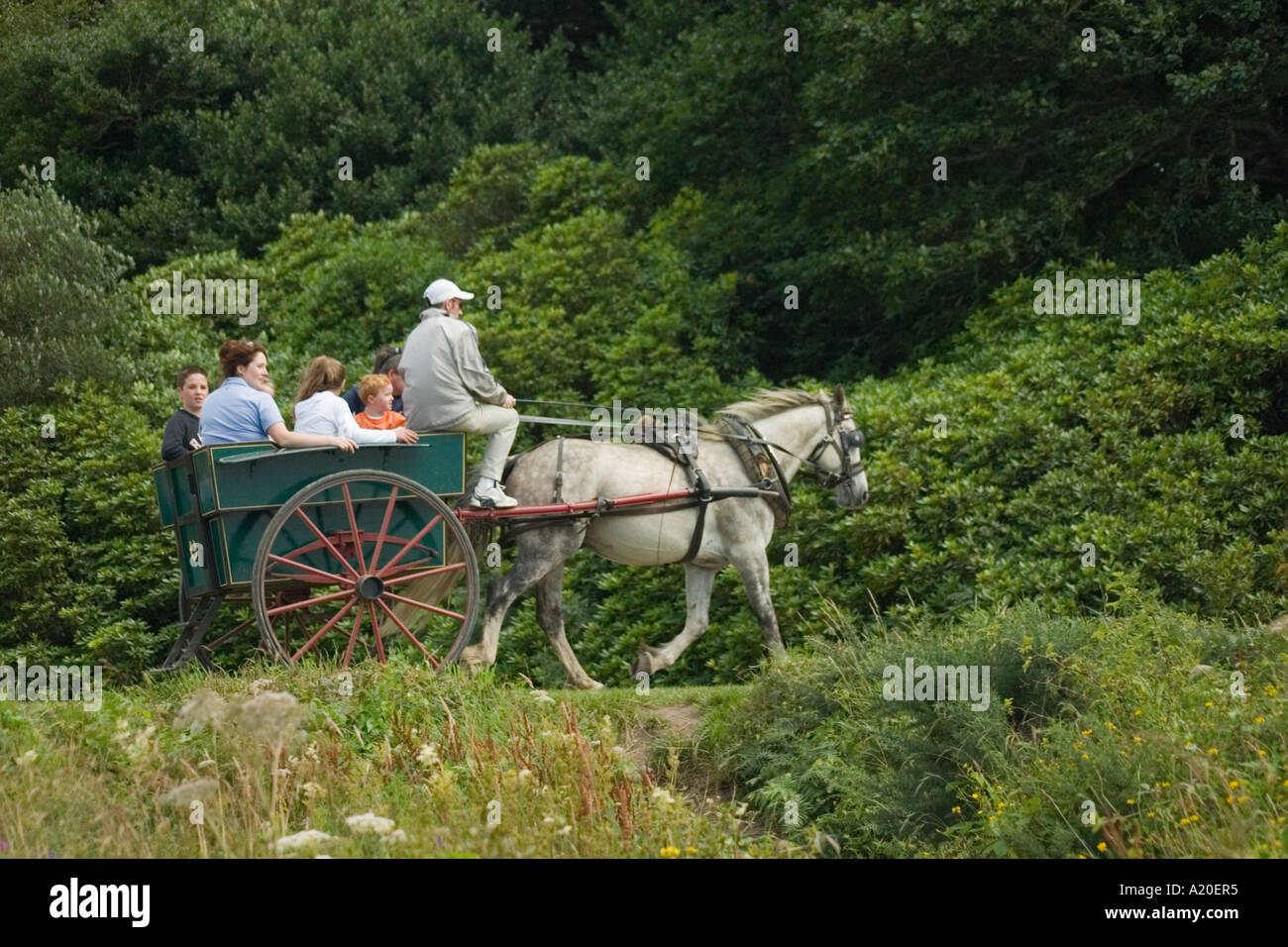 Irish jaunting cart hi-res stock photography and images - Alamy