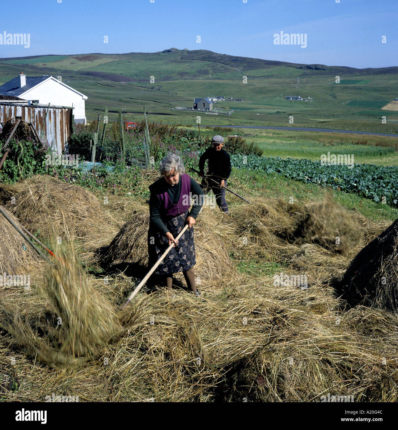 Women crofters scotland hi-res stock photography and images - Alamy