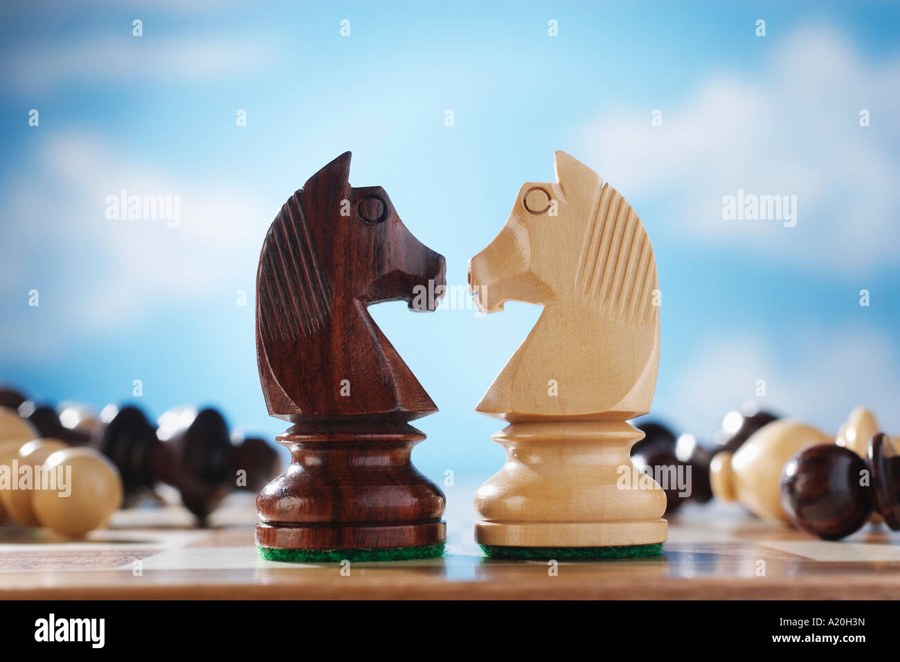 Chess pieces, two knights face to face Stock Photo - Alamy