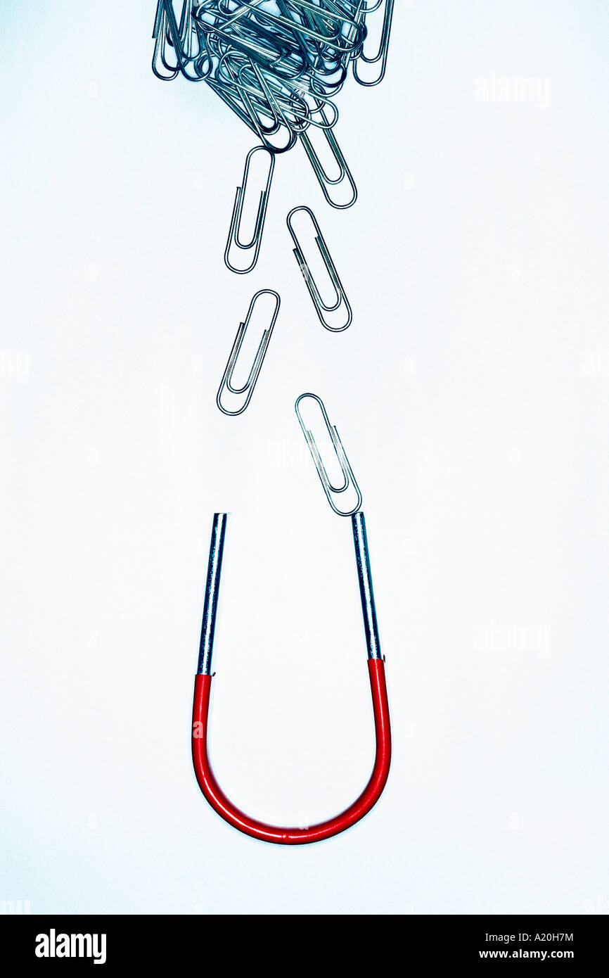 Horseshoe magnet attracting paperclips, in studio Stock Photo - Alamy