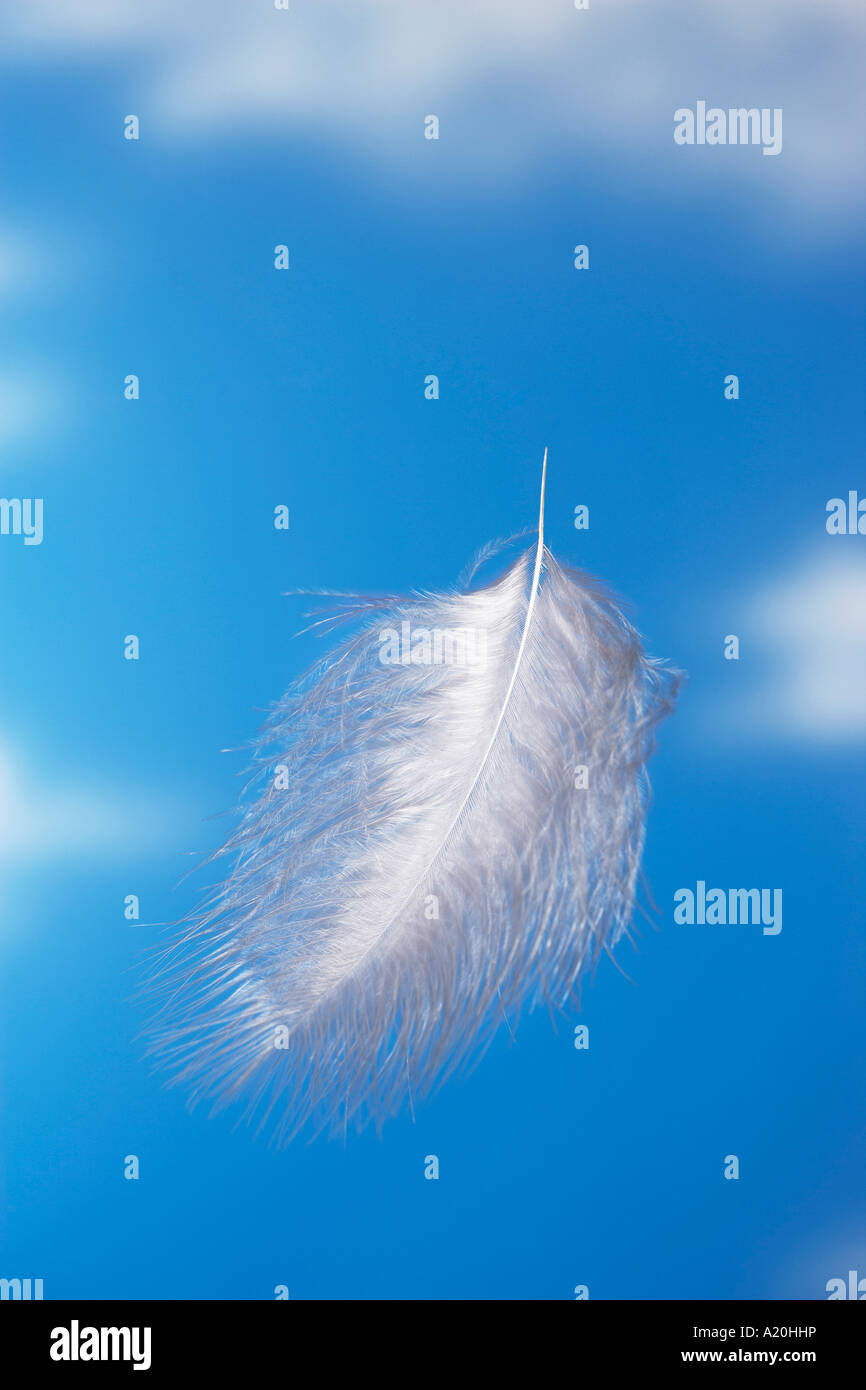 Feathers falling sky hi-res stock photography and images - Alamy