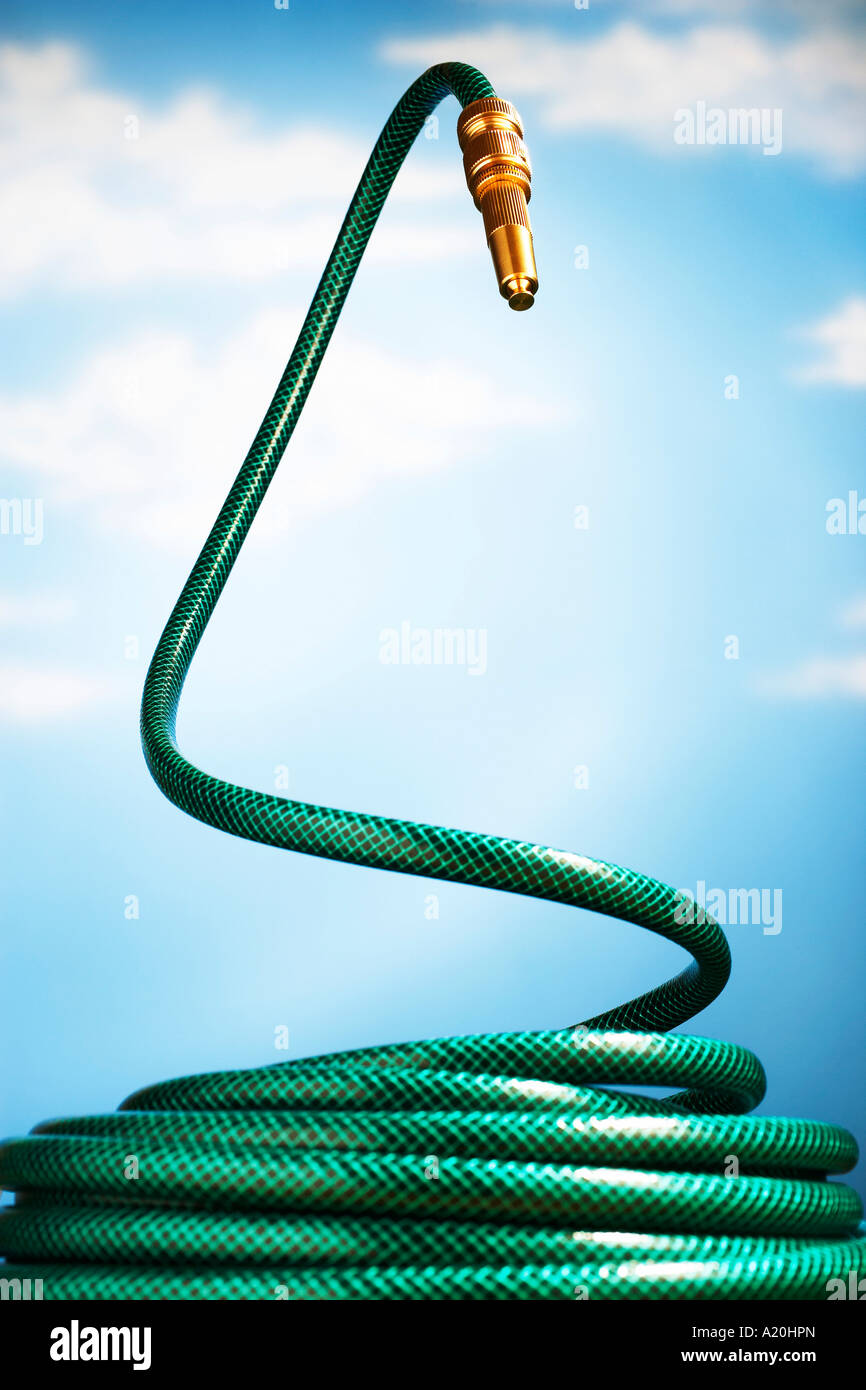 Rearing snake hi-res stock photography and images - Alamy