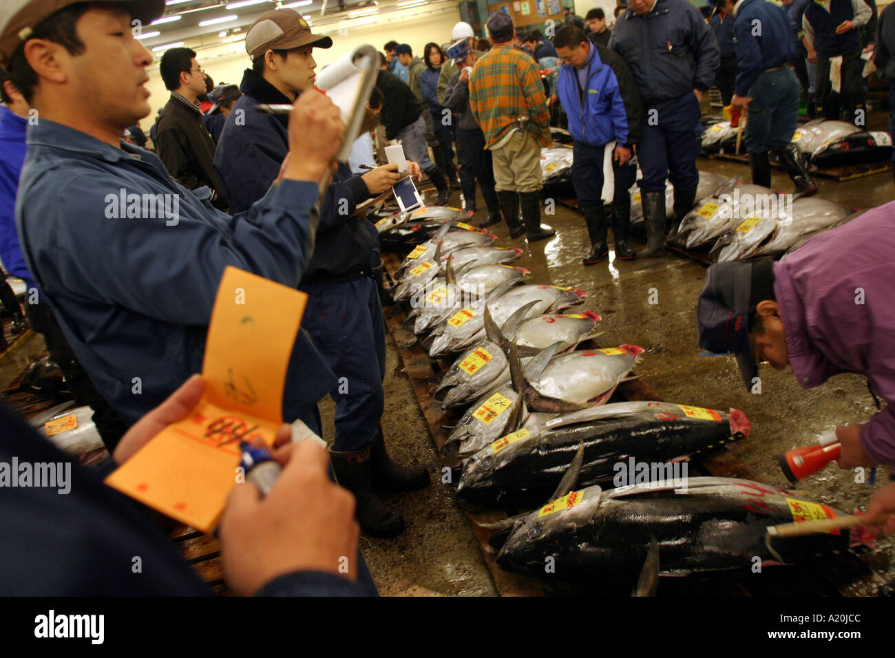 Worlds largest fish market hi-res stock photography and images - Alamy