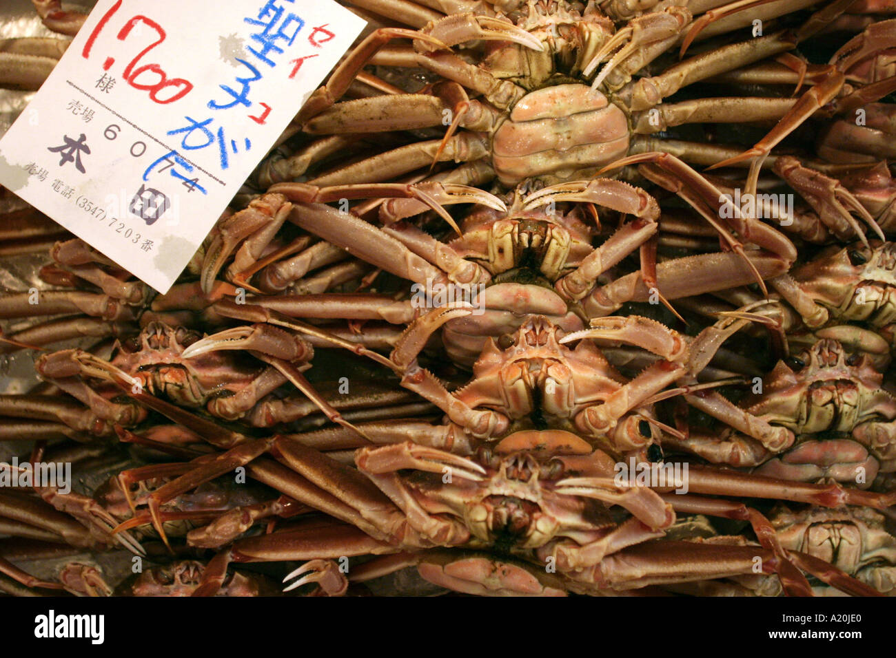 Fresh crabs on sale at a stall in Tsukiji fish market, the worlds ...