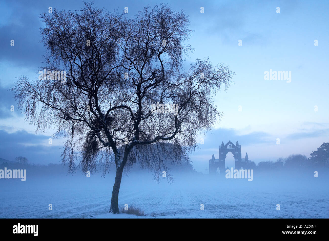 Winter snow and dawn mist at Gisborough Priory Guisborough Tees Valley ...