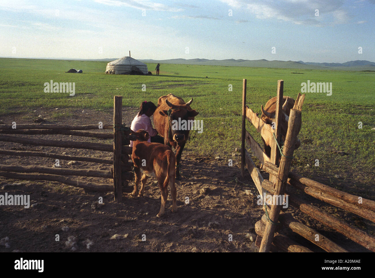 Mongolian steppe hi-res stock photography and images - Alamy