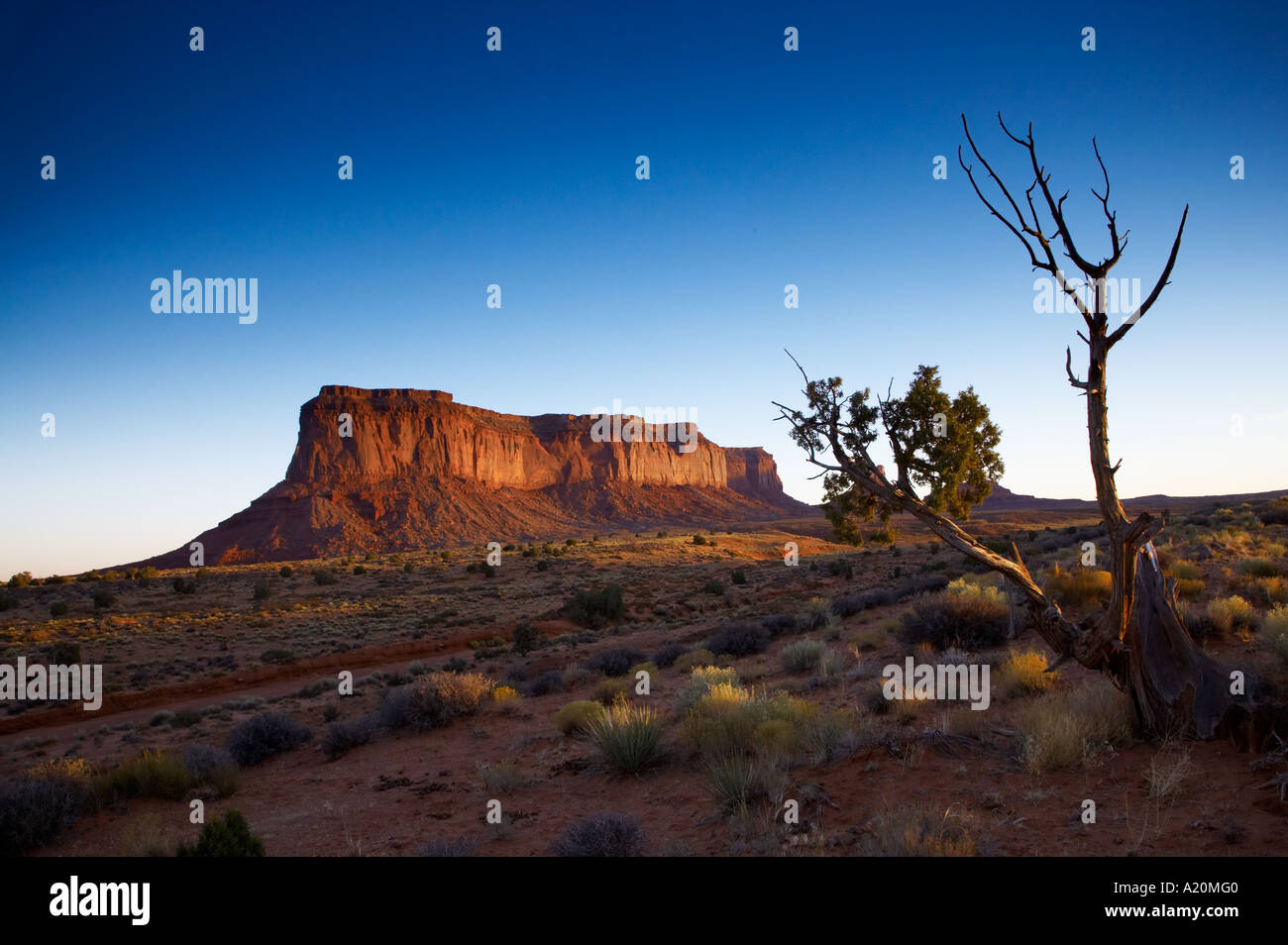 Dawn Skyline Monument Valley Utah USA Stock Photo - Alamy