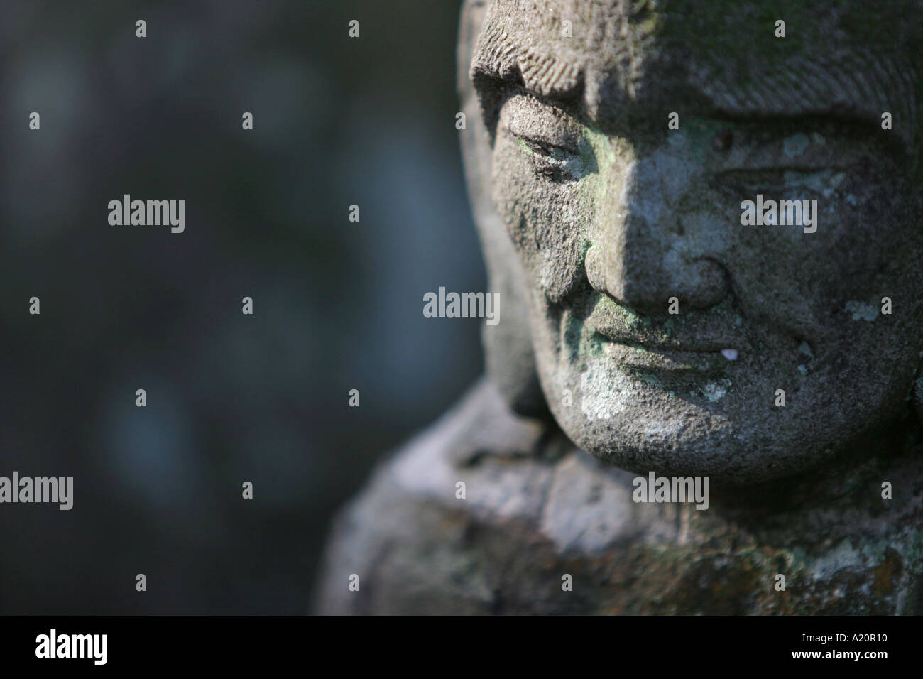 disciple of Buddha statue at the Kitain Temple temple, Kawagoe, near ...