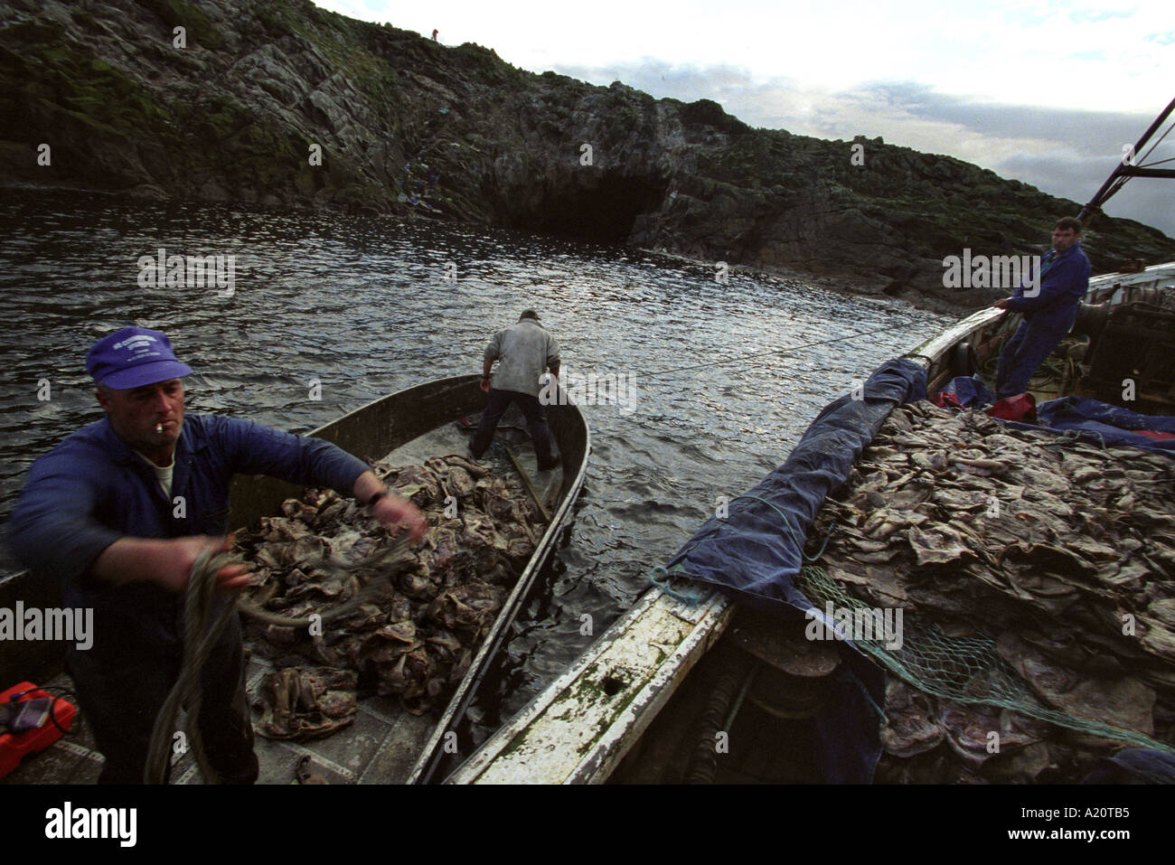 Guga men hi-res stock photography and images - Alamy