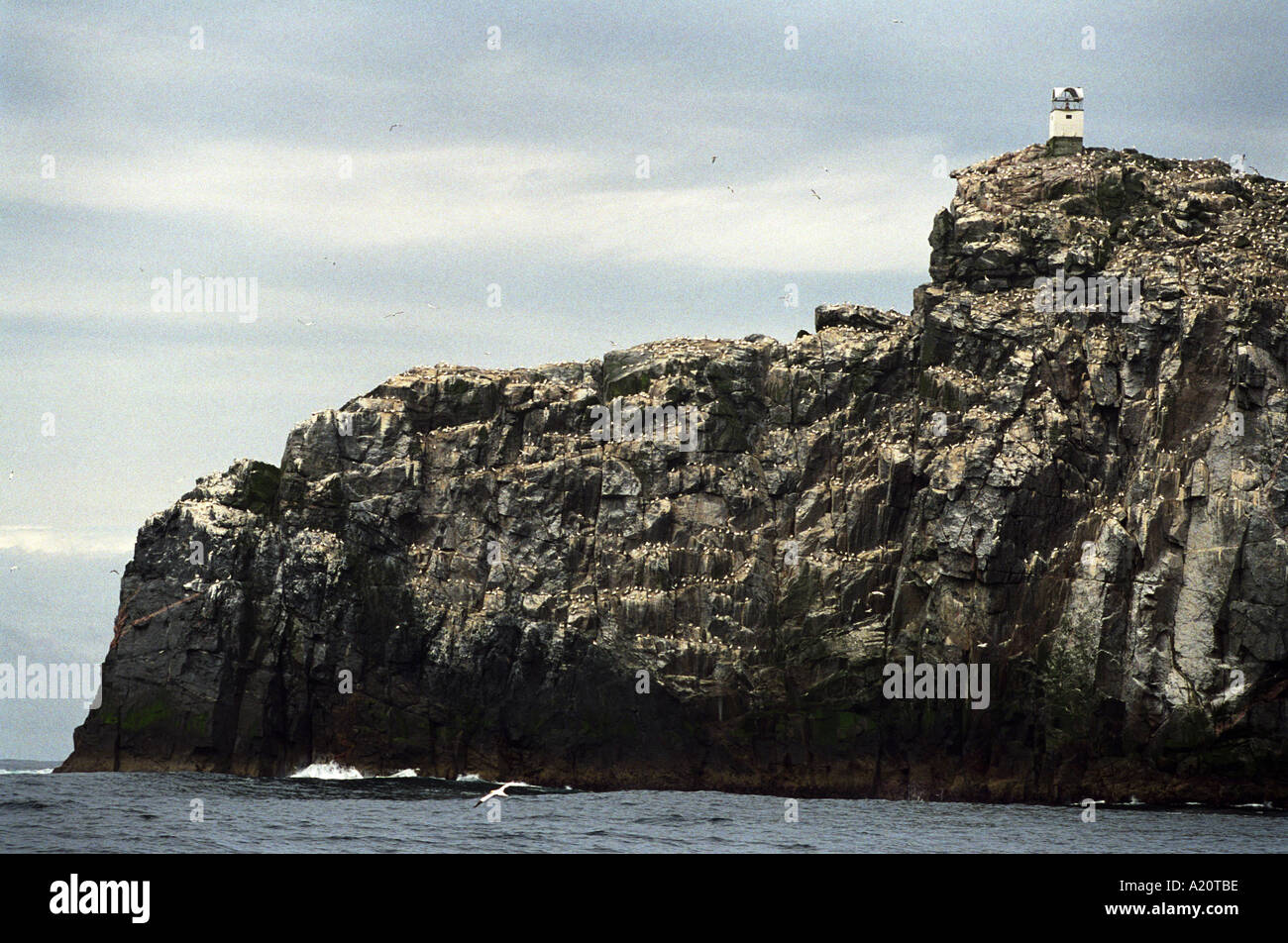 Guga hunt hi-res stock photography and images - Alamy