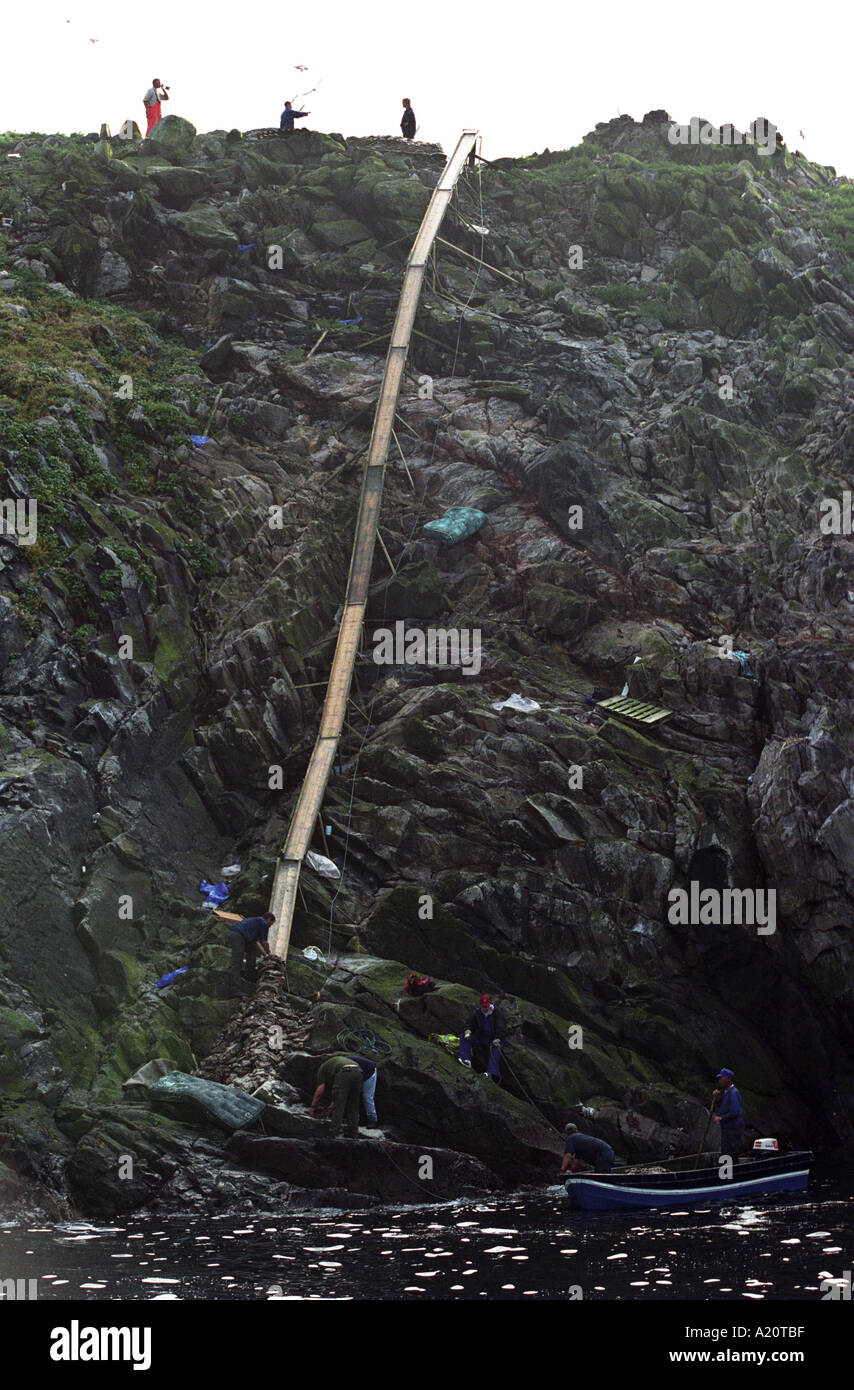 Guga hunt hi-res stock photography and images - Alamy