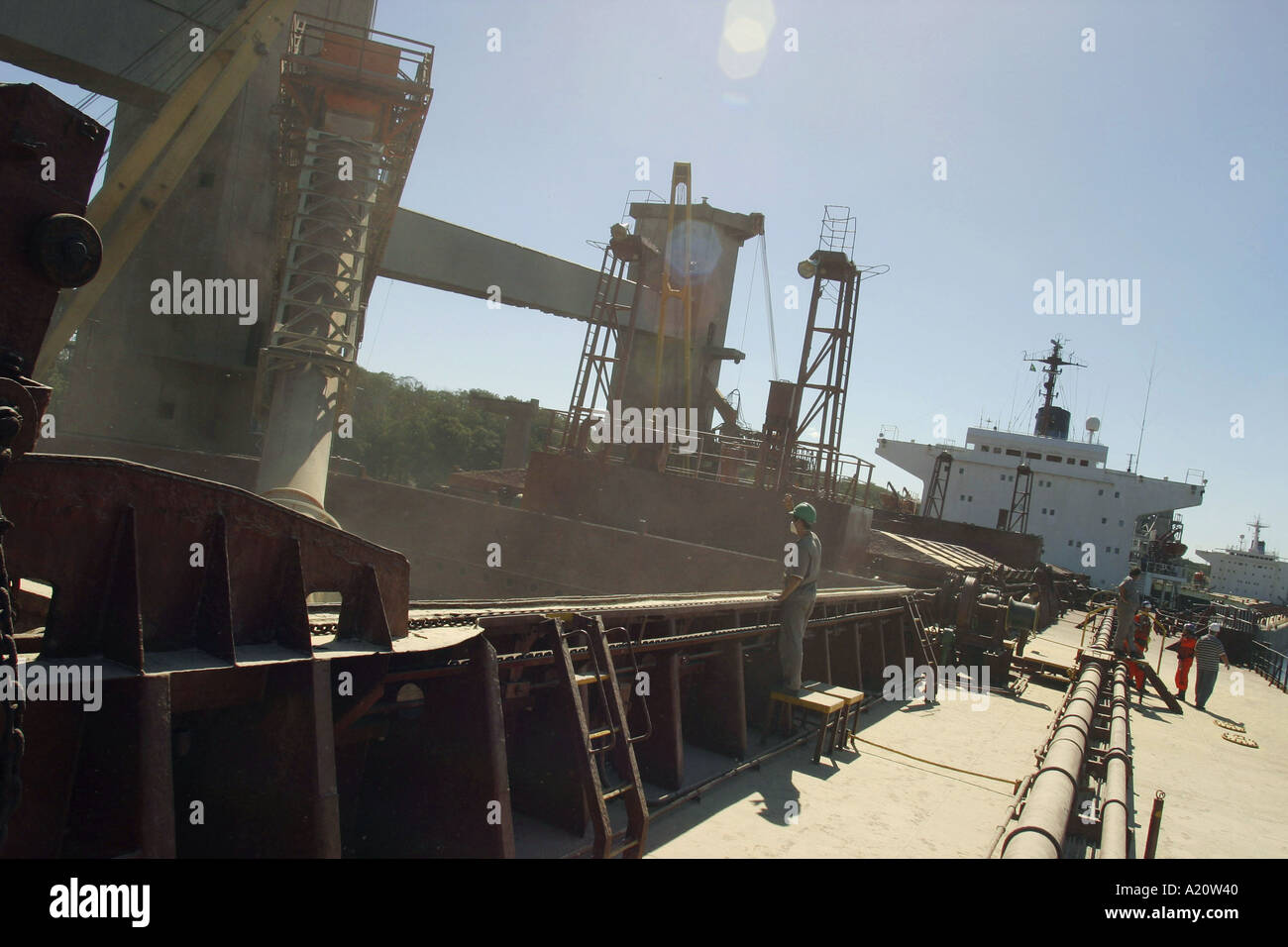 Bulk carrier ship loads its cargo of genetically modified soya, in dock ...
