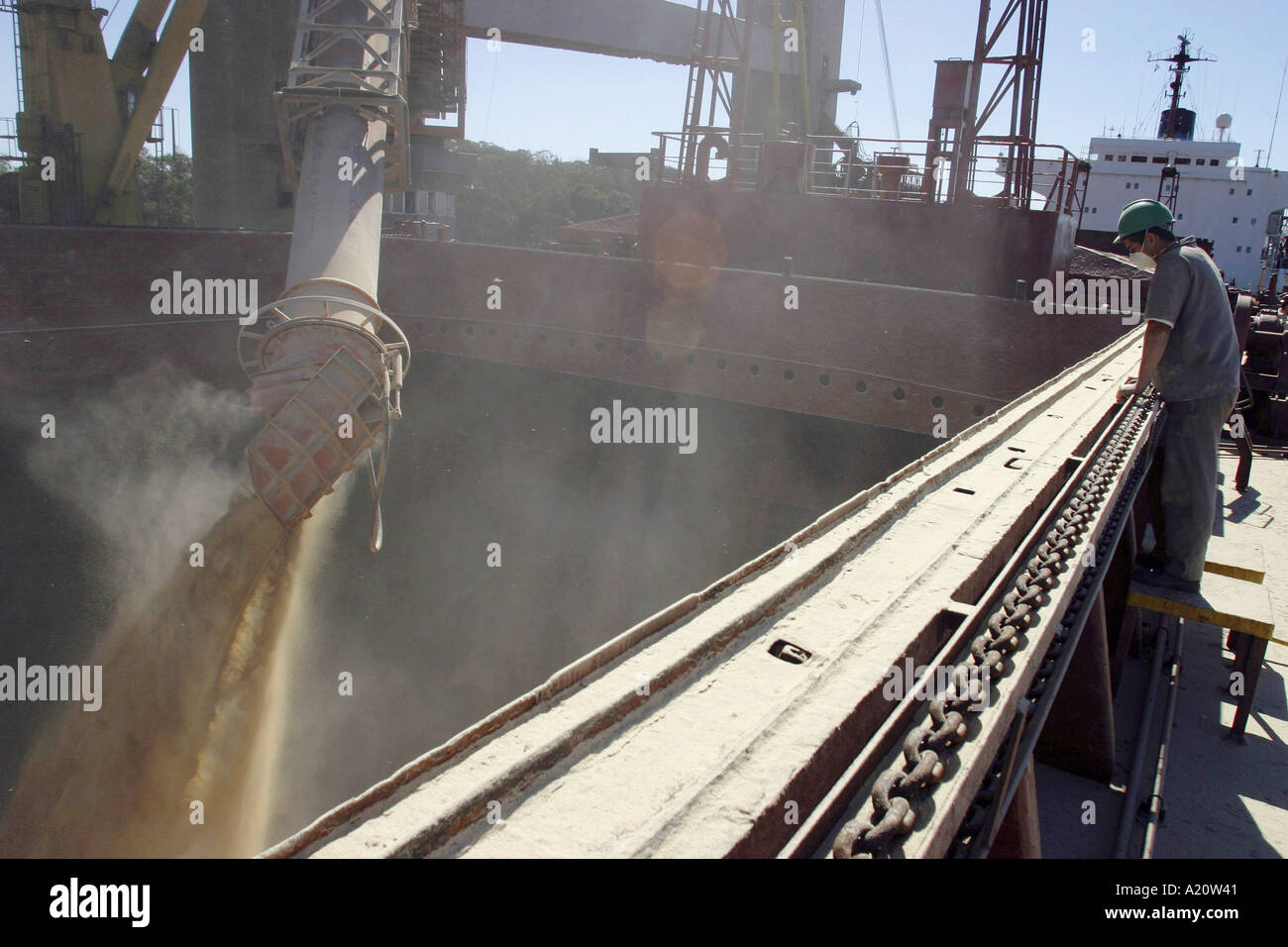 Bulk carrier ship loads its cargo of genetically modified soya, in dock ...