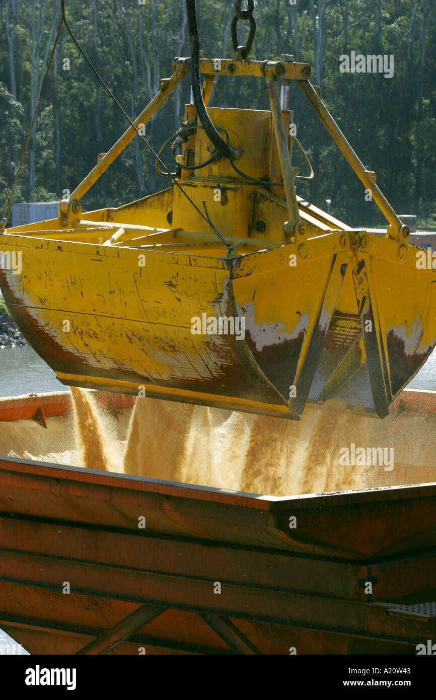 Bulk carrier ship loads its cargo of genetically modified soya, in dock ...